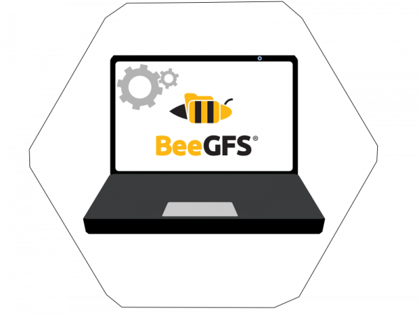 Consulting Services - BeeGFS - The Leading Parallel Cluster File System